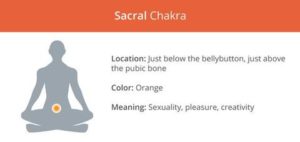 The Science of Chakras: Ancient Energy Centers Meet Modern Anatomy ...