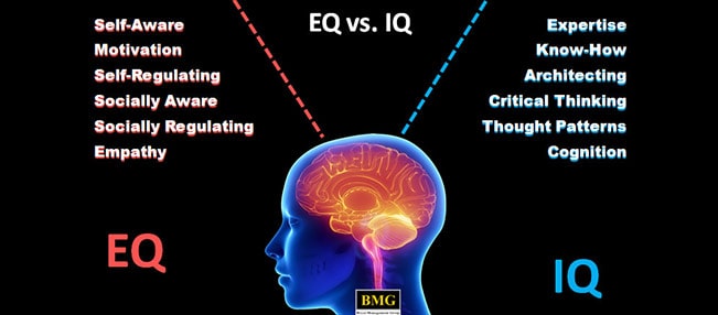 Is EQ a Real Thing? Emotional Intelligence Explained: IQ vs. EQ - the ...