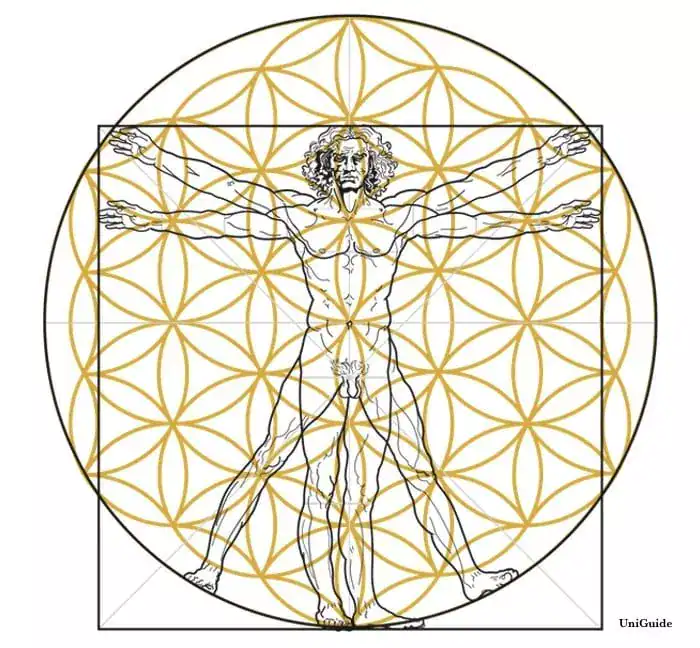 Flower Of Life Necklace Meaning | Best Flower Site