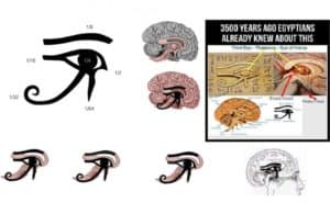 The Eye of Horus vs. The Eye of Ra: How Ancient Symbols Mirror the ...