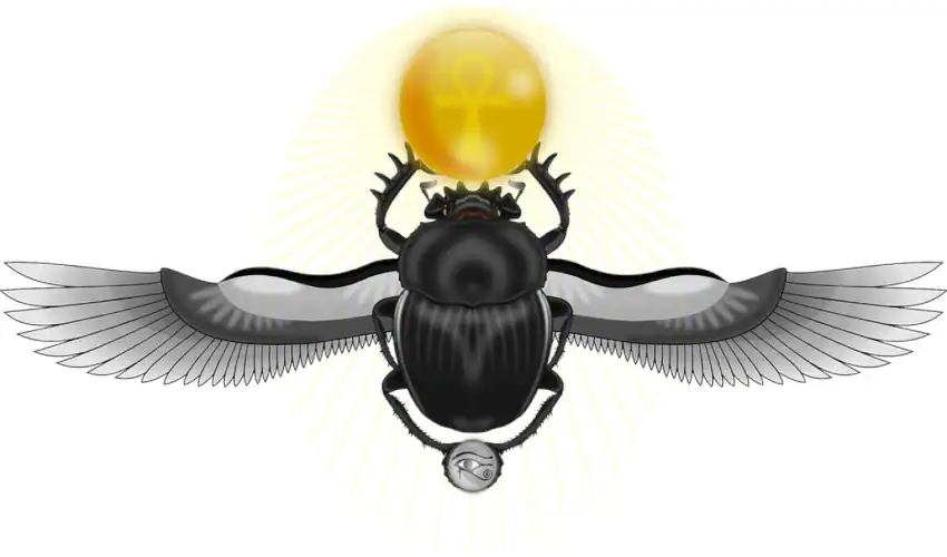 Unlocking The Scarab Beetle Meaning Mythology The Conscious Vibe Unlocking The Scarab Beetle Meaning Mythology The Conscious Vibe